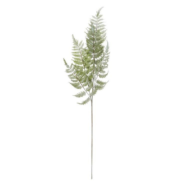 36 Inch Real Touch Ostrich Fern Stem – Grain and Grange