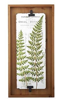 French Fern Floating Wall Art – Grain and Grange